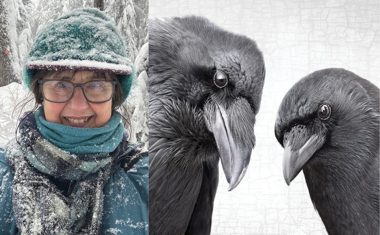 Raven or Crow? Who’s Who? with June Hunter - West Vancouver Memorial ...